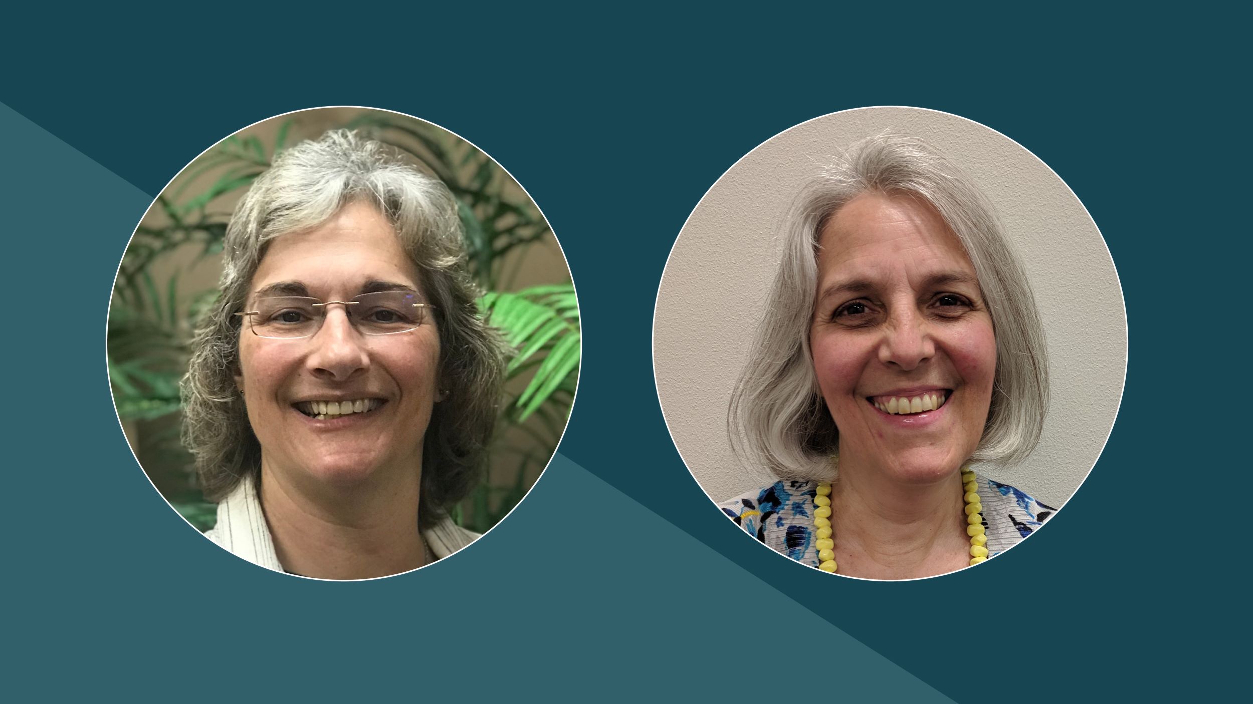 Pamenter and Wirtz Earn the Lifetime Service Award - NEBAT